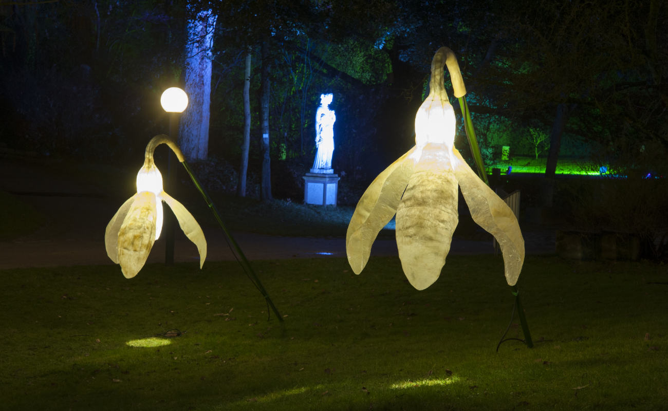 Winterlichter im Luisenpark - Fotokurse in Mainz