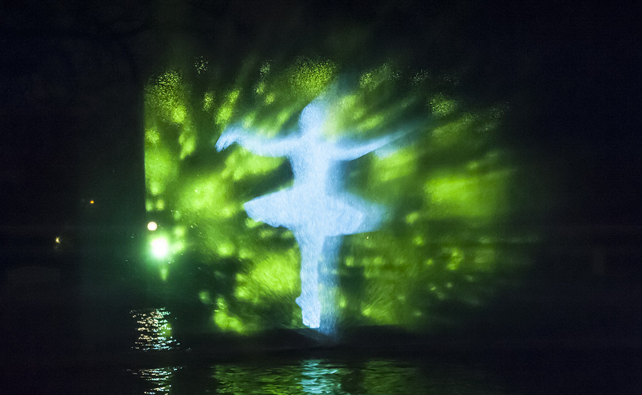 Winterlichter im Luisenpark - Fotokurse in Mainz